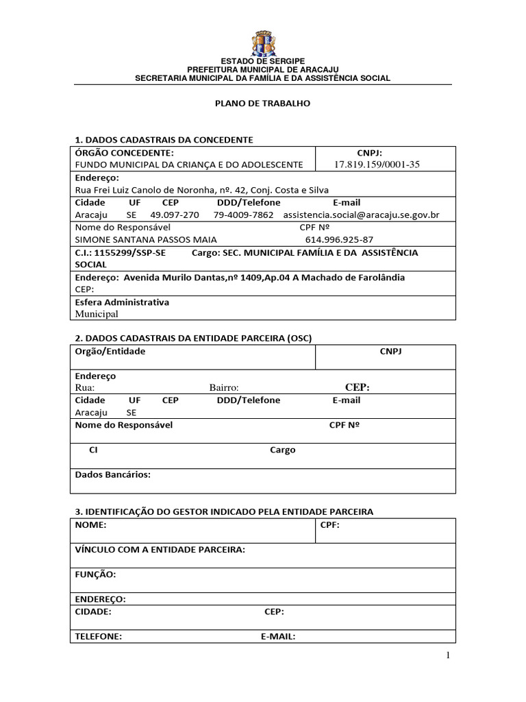 Modelo Plano de Trabalho | PDF