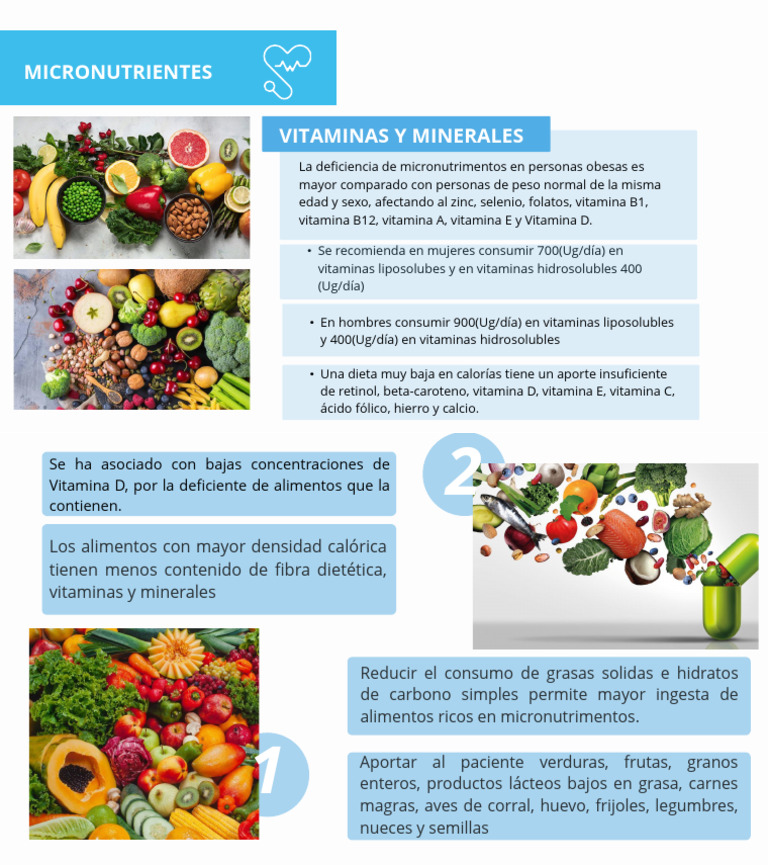 3 Micronutrientes | PDF
