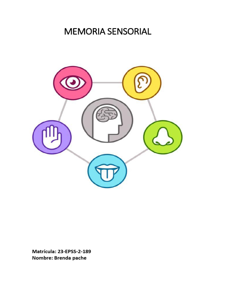 Diapositivas (Memoria Sensorial) | PDF | Memoria | Información