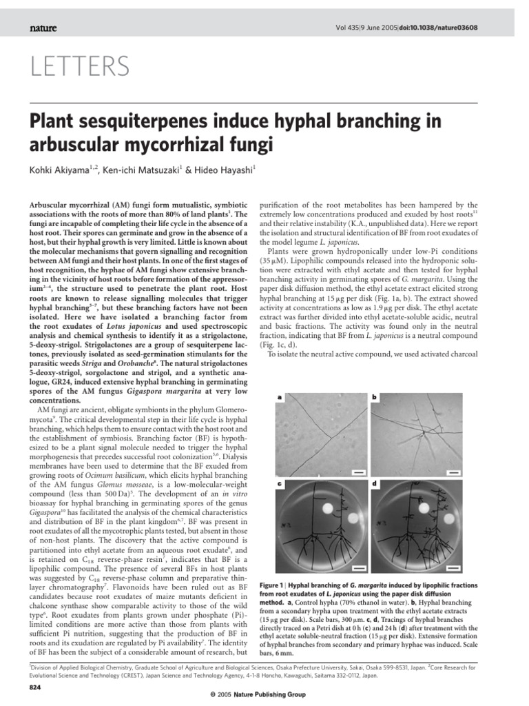 Plant Sesquiterpenes Induce Hyphal Branching in | PDF