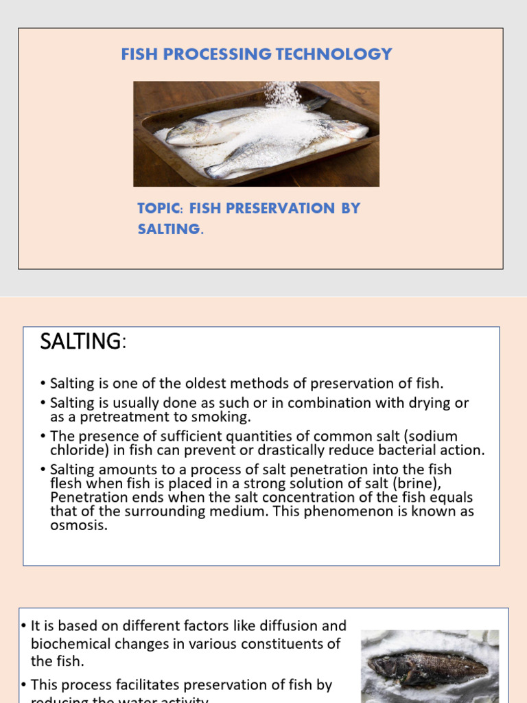 Fish Preservation by Salting | PDF | Sodium Chloride | Salt