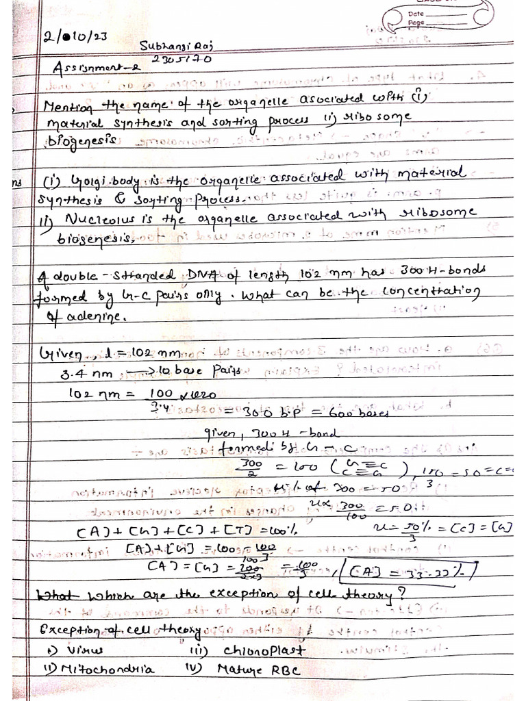 scls.assignment2.2305170 | PDF