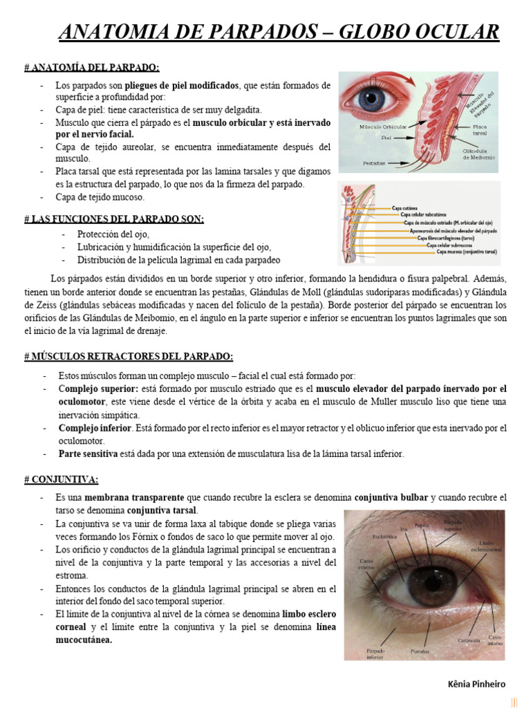 OFTALMO | PDF | Ciencia y matemáticas