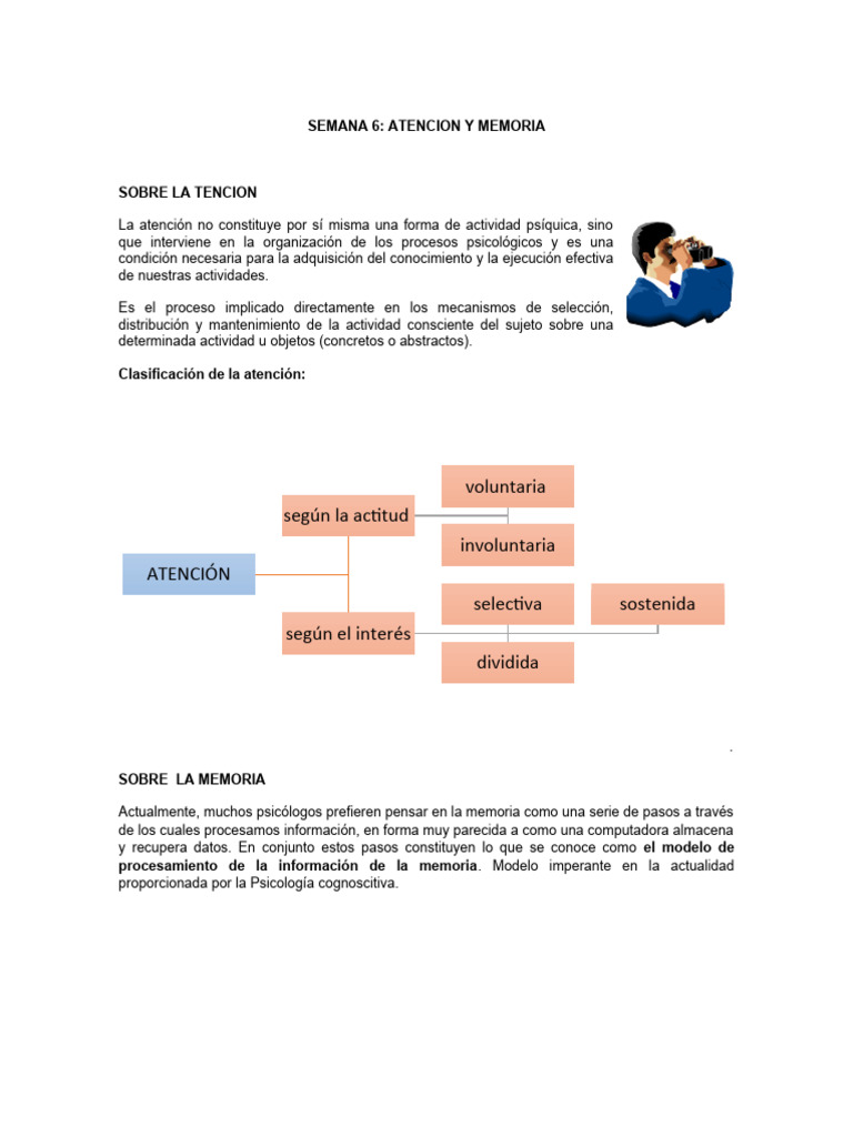 6 Atencion y Memoria | PDF