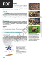 Simetria Corporal em Animais | PDF | Sistema nervoso | Corpo humano