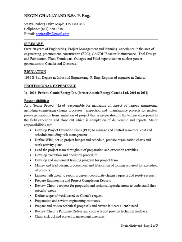 Negin-Resume Feb 2020 | PDF | Nuclear Energy | Nuclear Technology