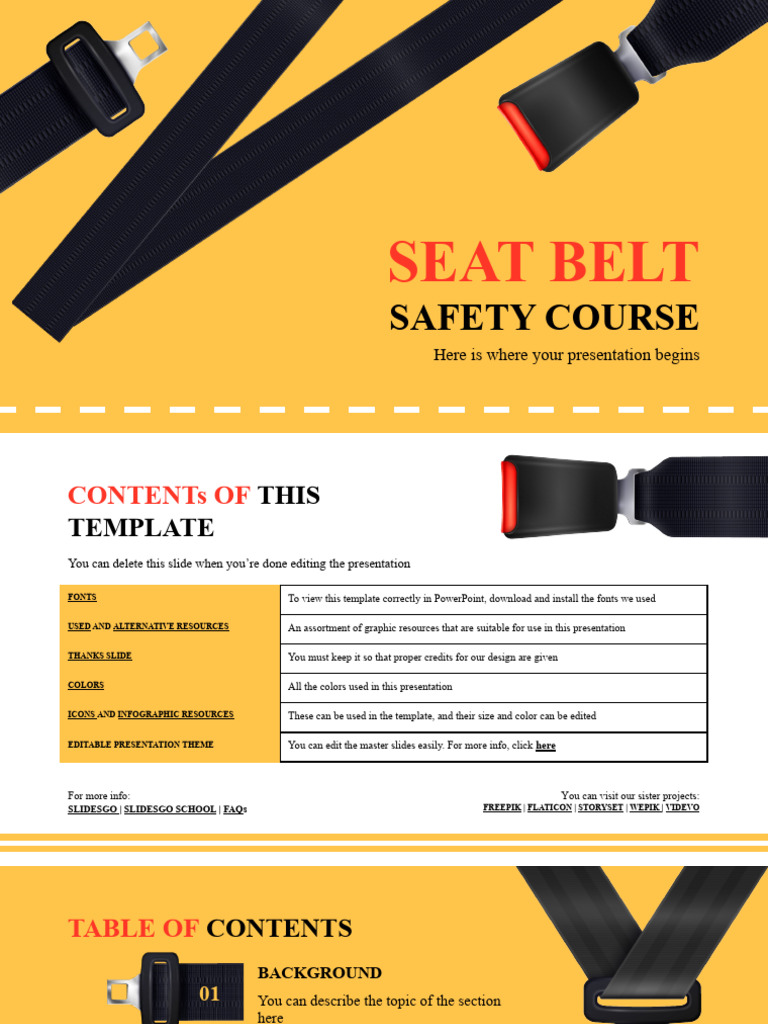 Seat Belt Safety Course Overview | PDF