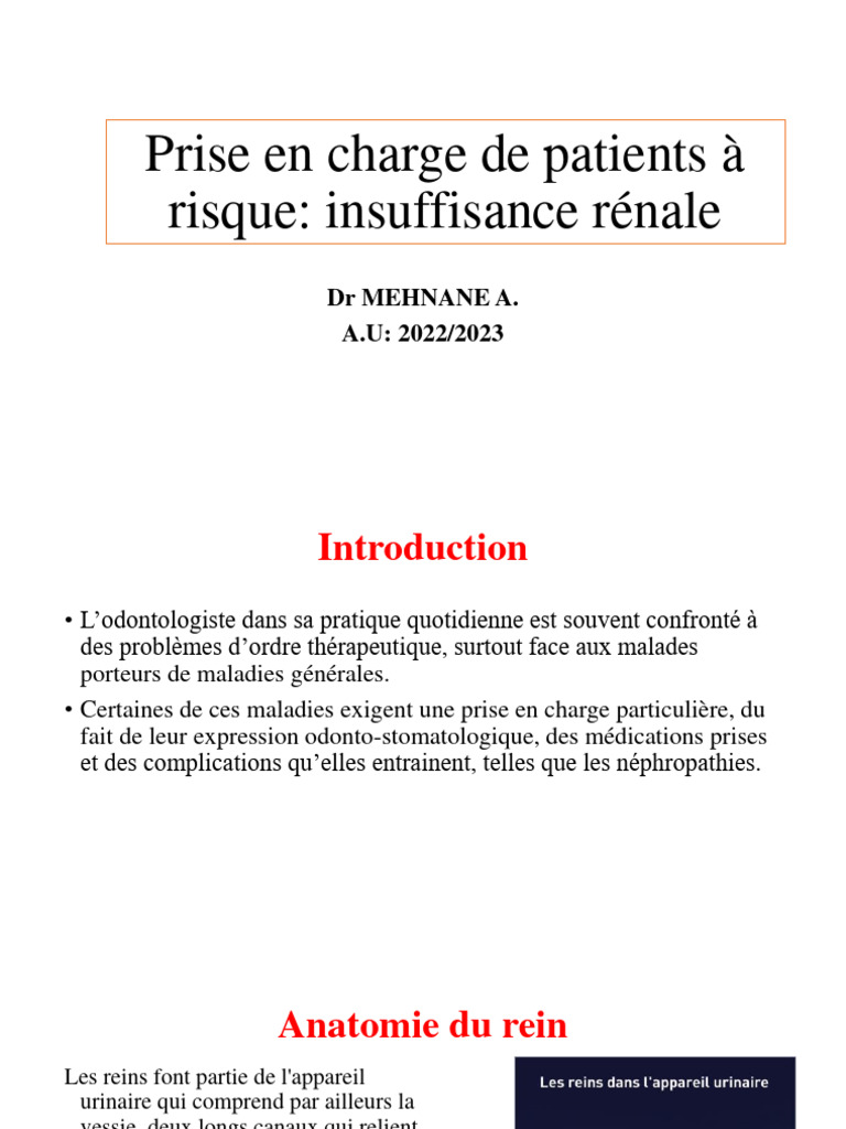 Prise en charge de l'insuffisance rénale | PDF | Rein | Insuffisance ...