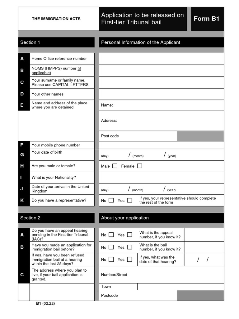 B1 Bail Form 0222 Save | PDF