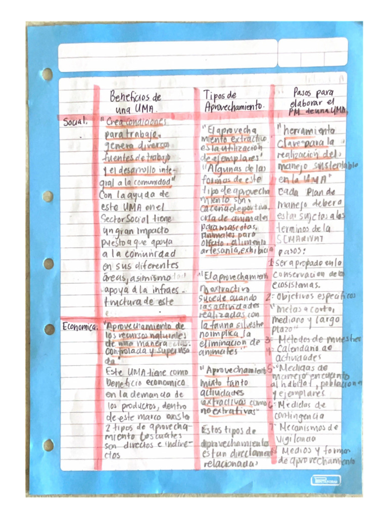 U2 Act4 - Usielmarquez | PDF