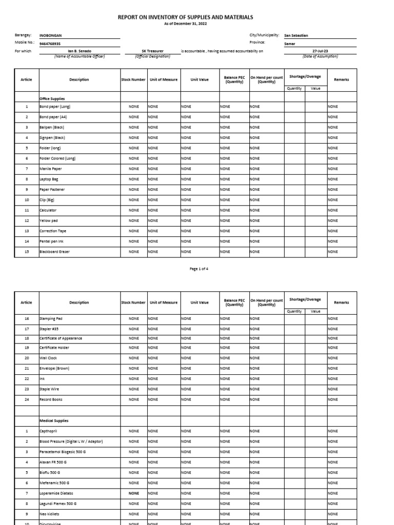 Report of Inventory of Supplies and Materials | PDF