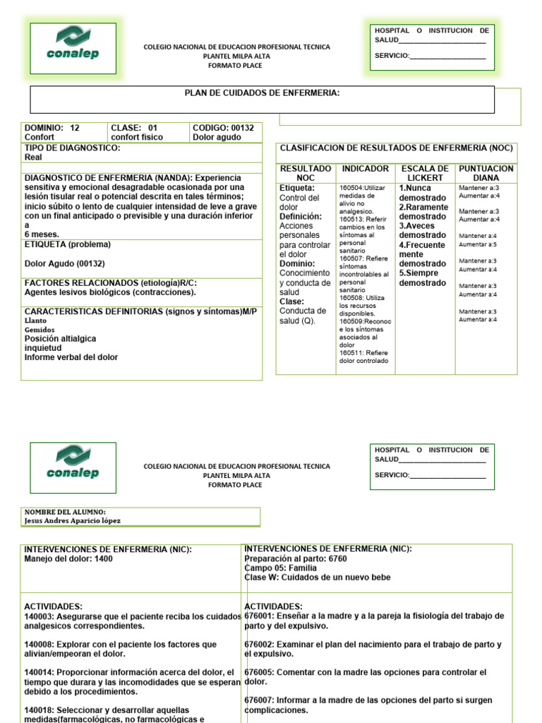 FORMATO PLACE (1) | PDF | Parto | Dolor