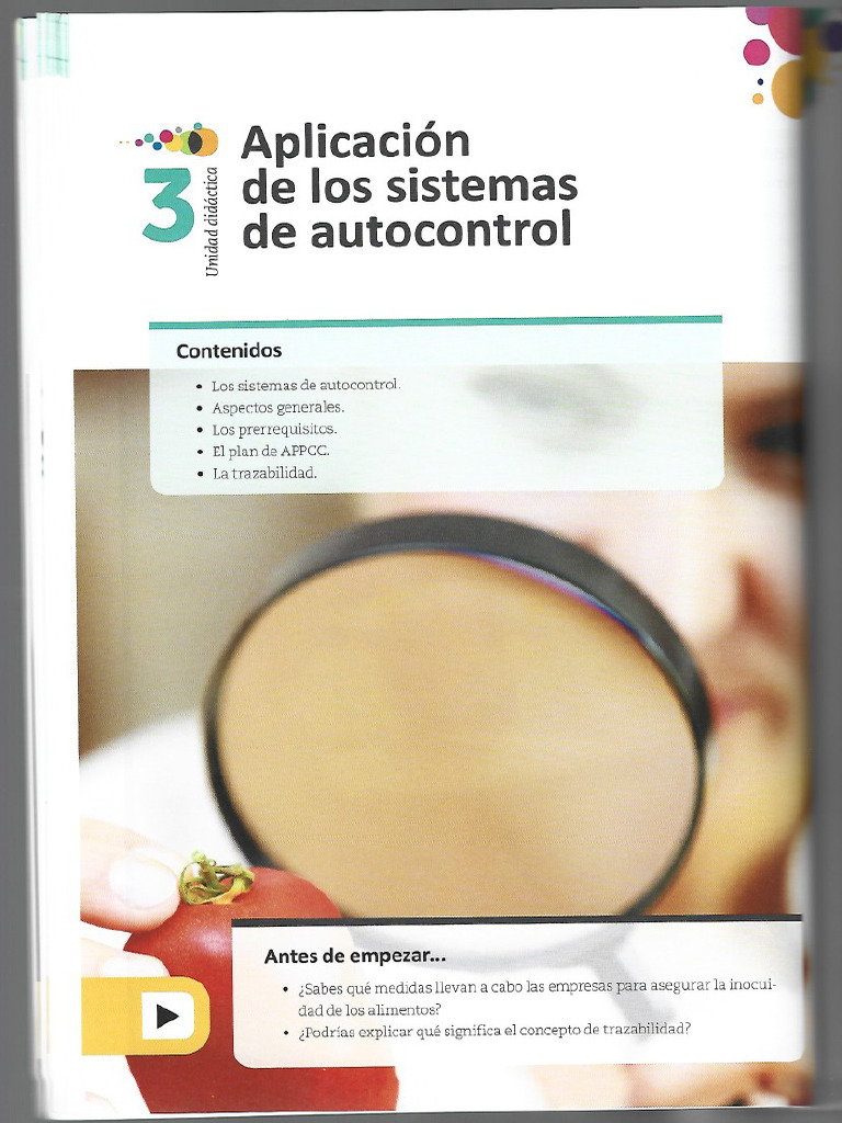 Tema 3 Aplicación de Los Sistemas de Autocontrol | PDF