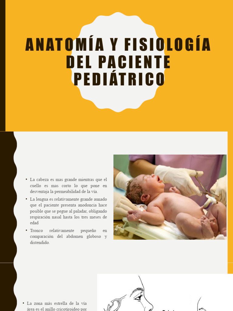 Anatomía y fisiología del paciente pediátrico | PDF | Termorregulación | Fisiología