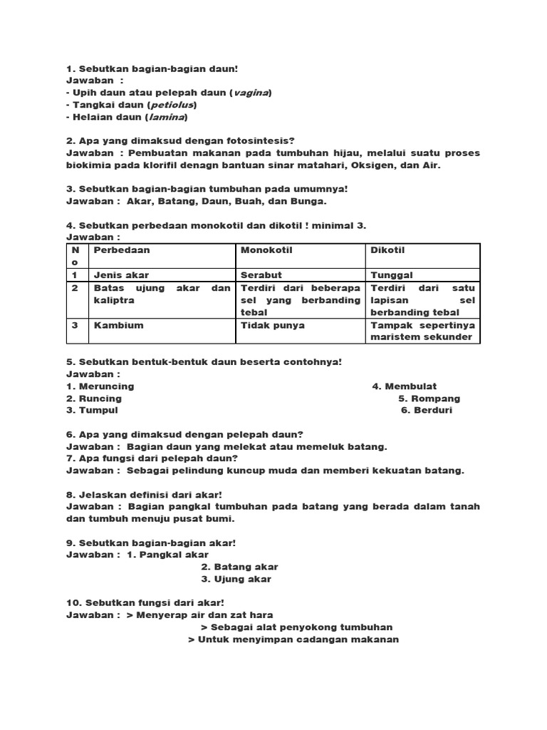 Uts Dan Uas | PDF | Sains & Matematika