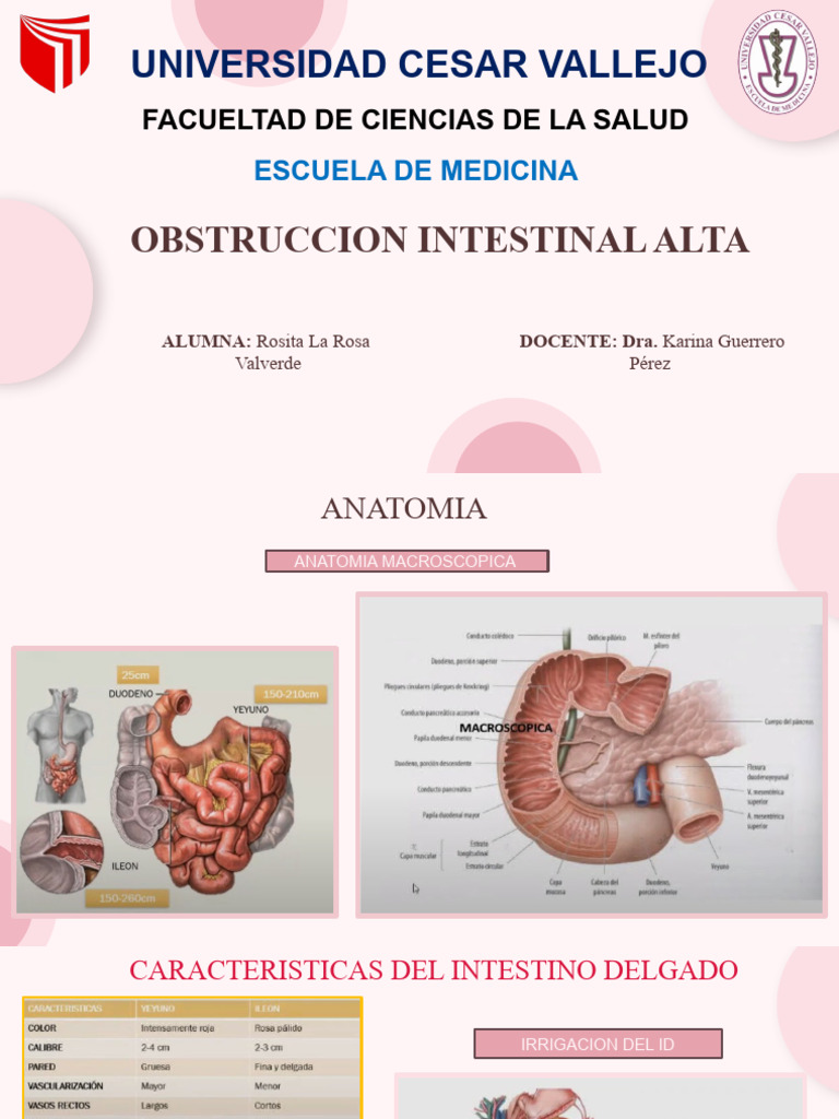 Obstrucción Intestinal Alta: Diagnóstico y Tratamiento | PDF | Tracto ...