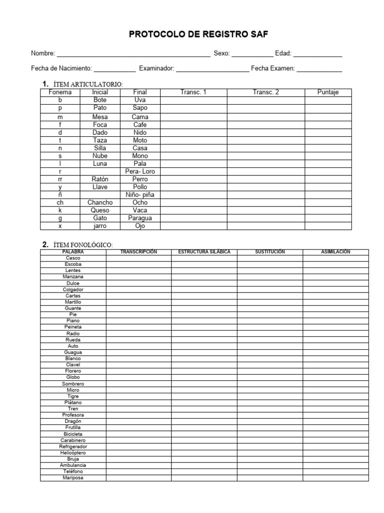Protocolo de Registro SAF | PDF