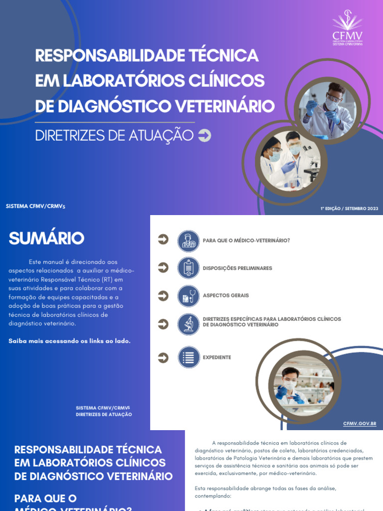 Diretrizes de RT de Laboratorios | PDF