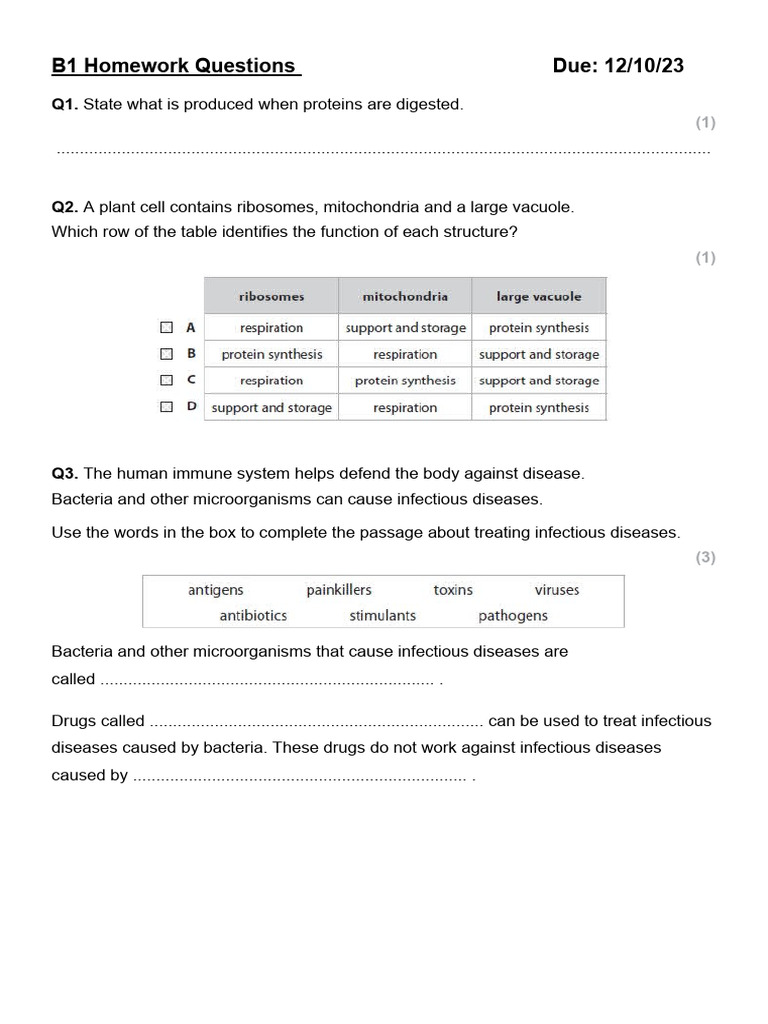 B1 Exam Questions | PDF