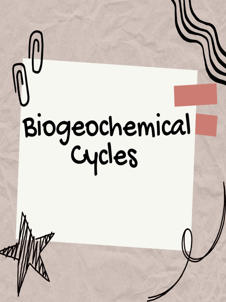 Biogeochemical Cycle | PDF