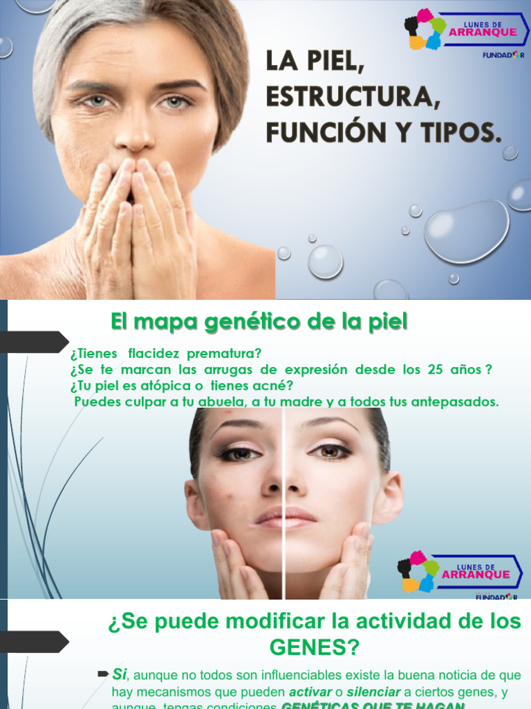 La Piel Estructura Funcion y Tipos | PDF | Piel | Protector solar