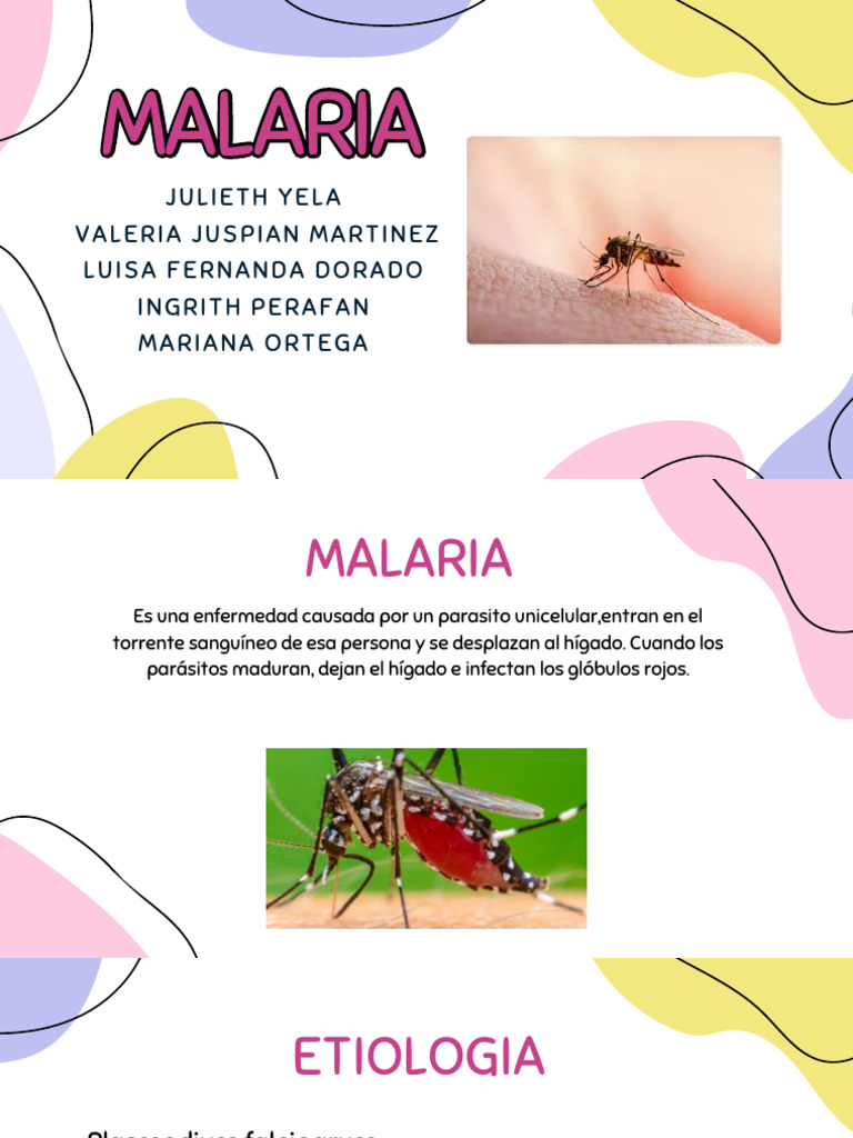 MALARIA | PDF | Malaria | Plasmodium