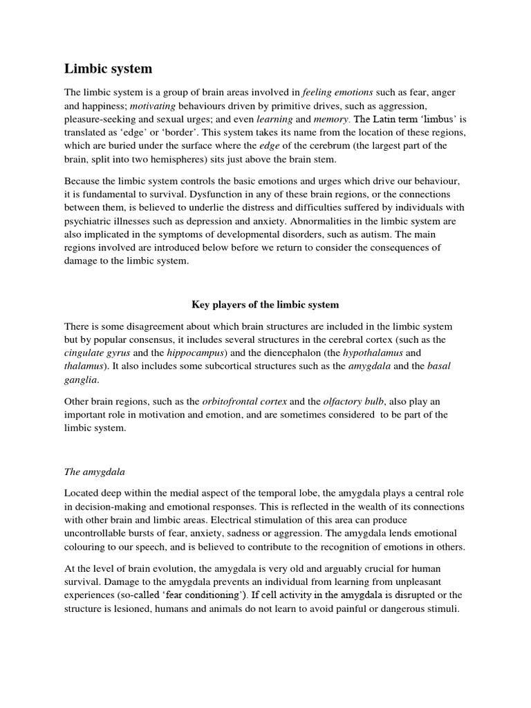 Limbic System | PDF