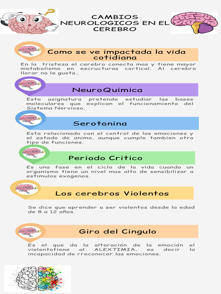 Infografía Estilos de Aprendizaje | PDF | Aprendizaje | Las emociones