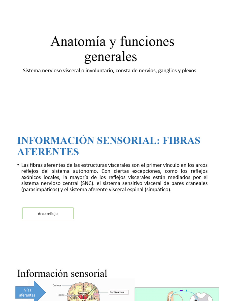 Anatomía y funciones generales | PDF Anatomía y funciones generales | PDF