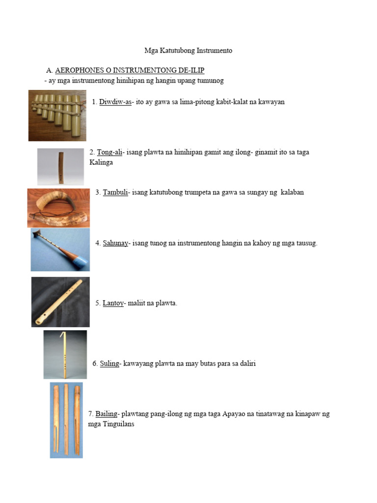 Mga Katutubong Instrumento | PDF