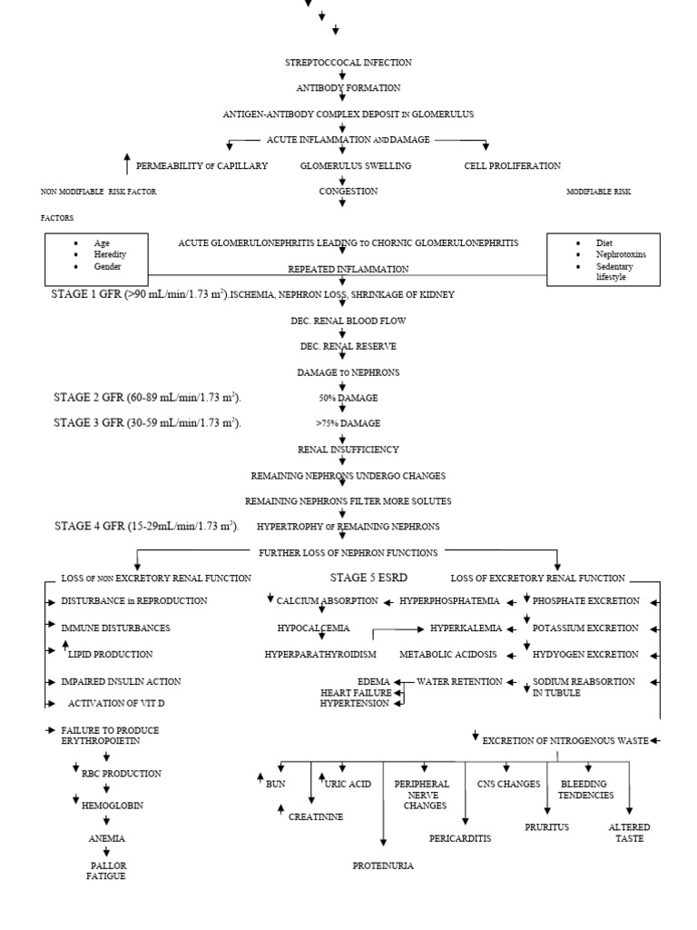 339557153-Ckd-Pathophysiology | PDF | Kidney | Chronic Kidney Disease