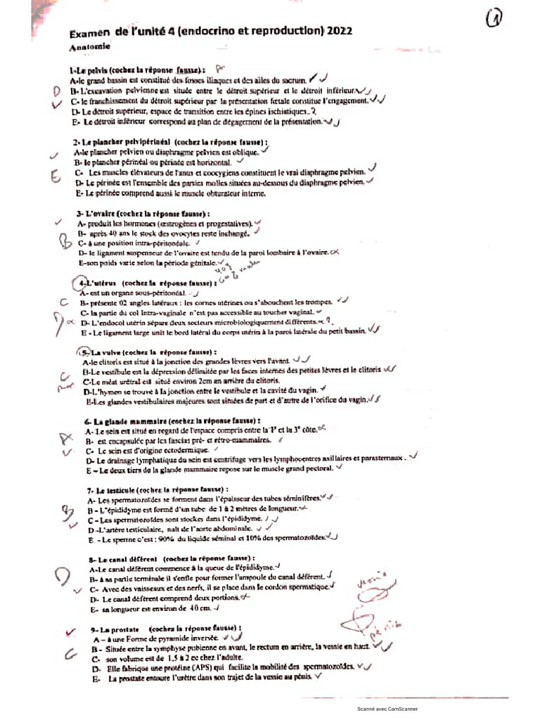 Examen U4 2022 | PDF