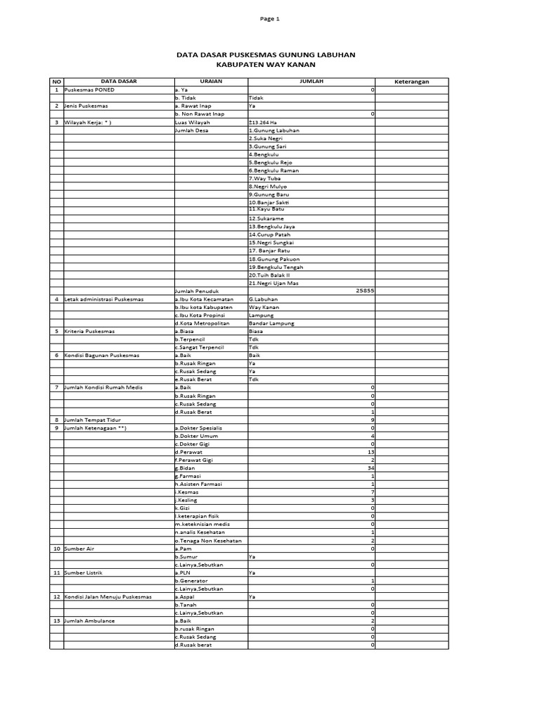 Data Dasar Puskesmas 2018 | PDF