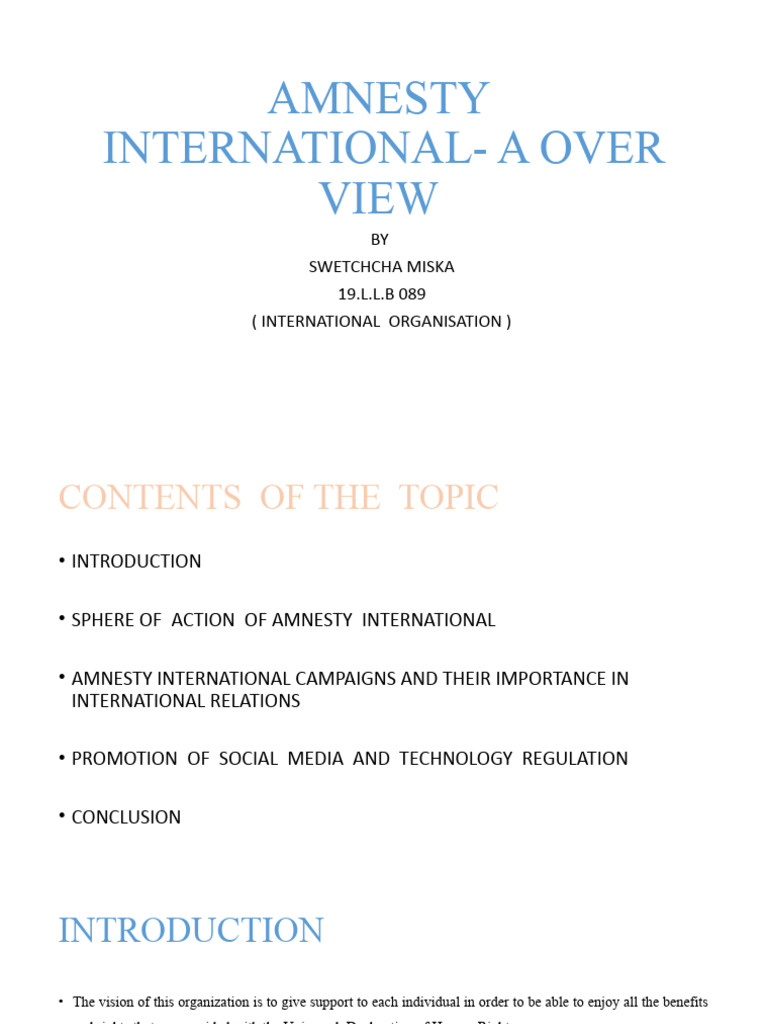 Amnesty Presentation | PDF