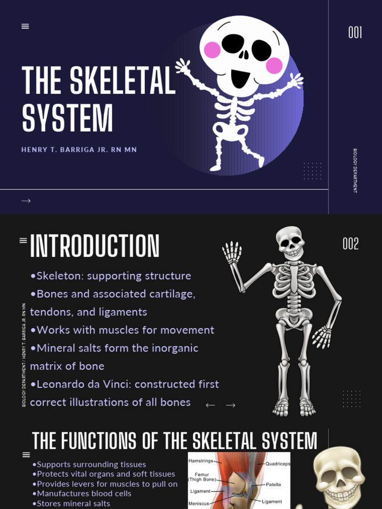 The Skeletal System | PDF | Bone | Skeleton