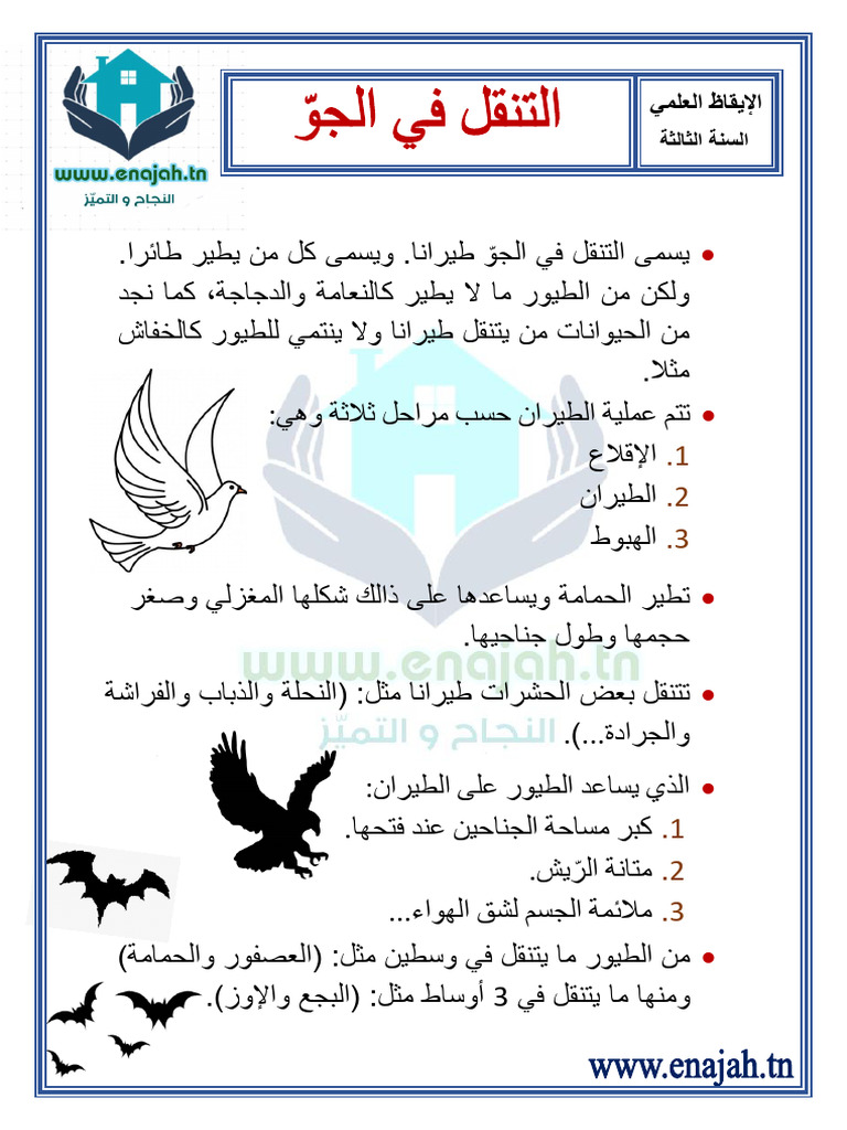 التنقل في الجوّ | PDF