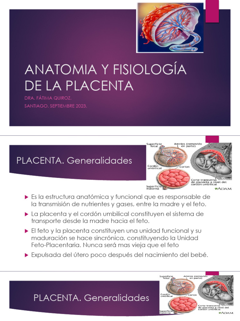ANATOMIA Y FISIOLOGÍA DE LA PLACENTA | PDF