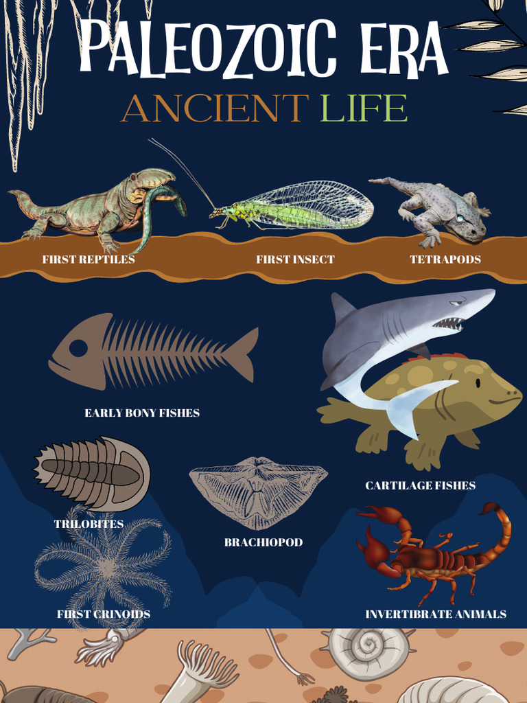 Paleozoic Era: Ancient Life Forms | PDF