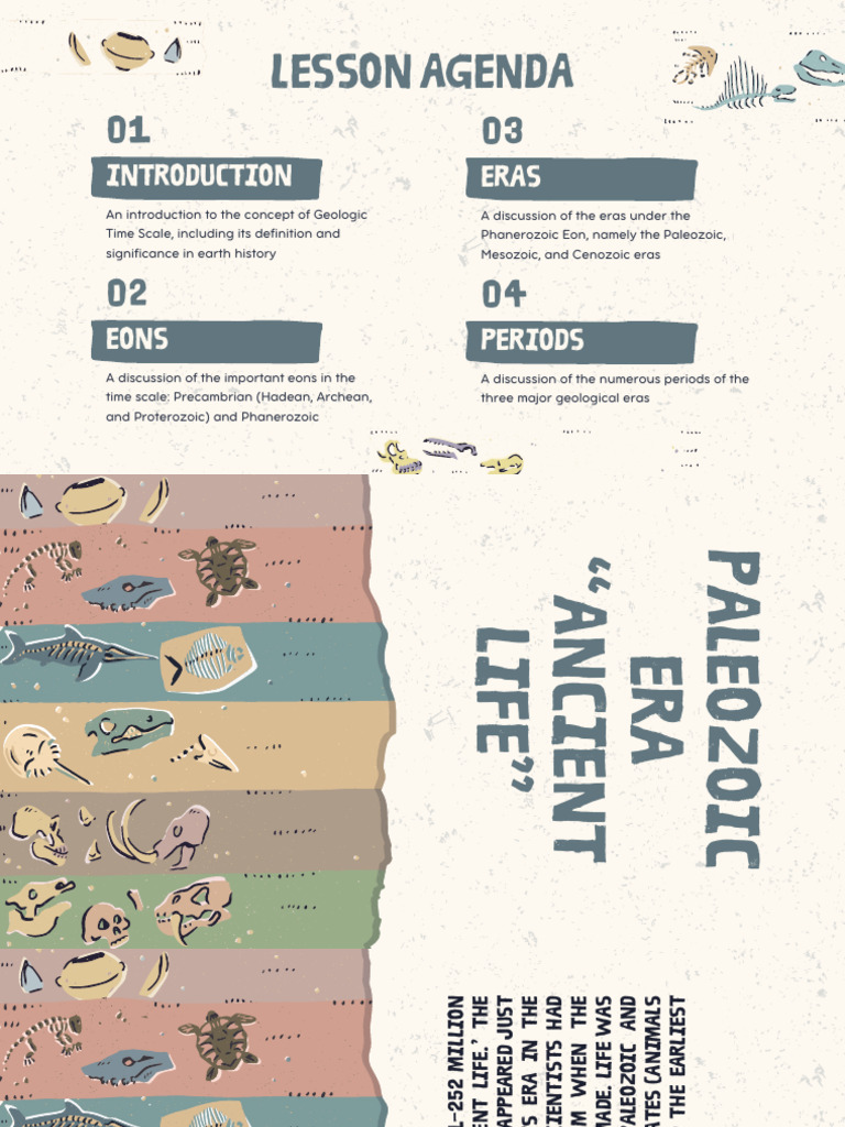 Paleozoic Era | PDF | Earth Sciences | Geology