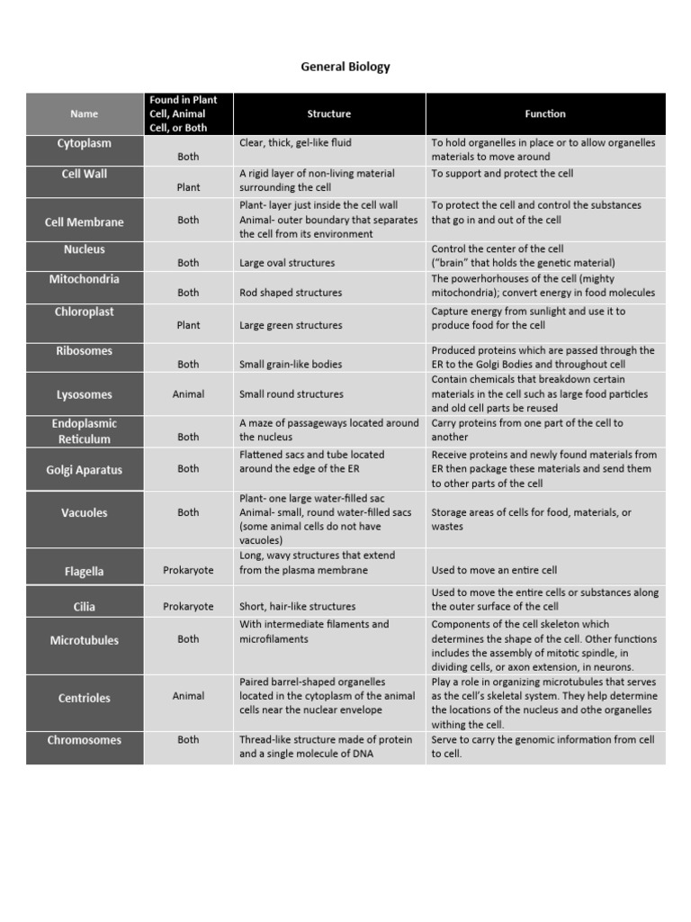 Genbio Group 5 | PDF | Cell (Biology) | Endoplasmic Reticulum