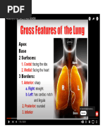The Radiology Assistant - Lung Segments and Bronchi | PDF | Lung ...