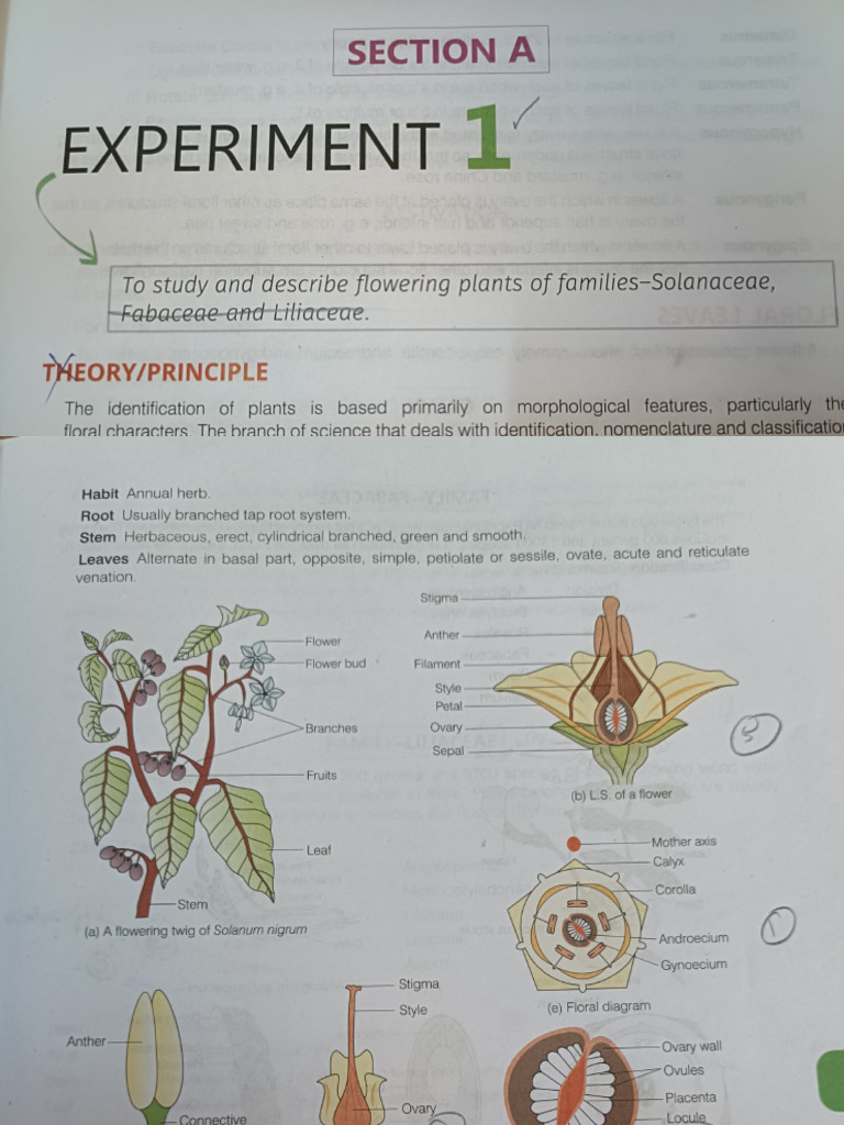 Biology Practical | PDF