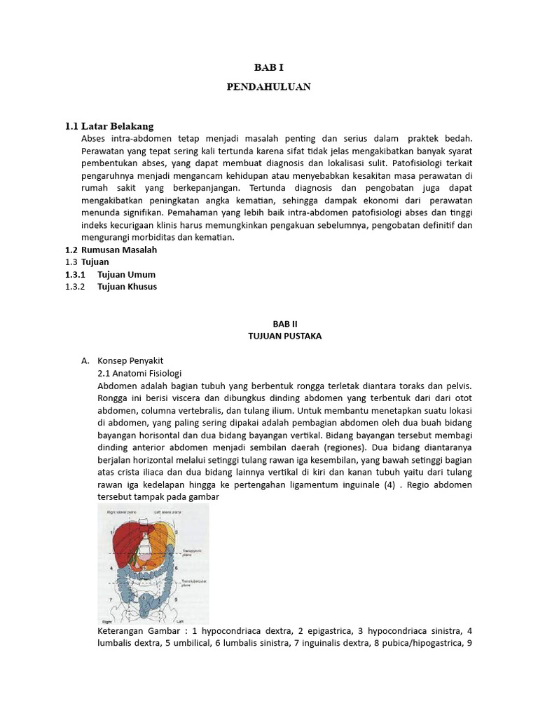 Pemahaman Abses Intra-Abdomen | PDF
