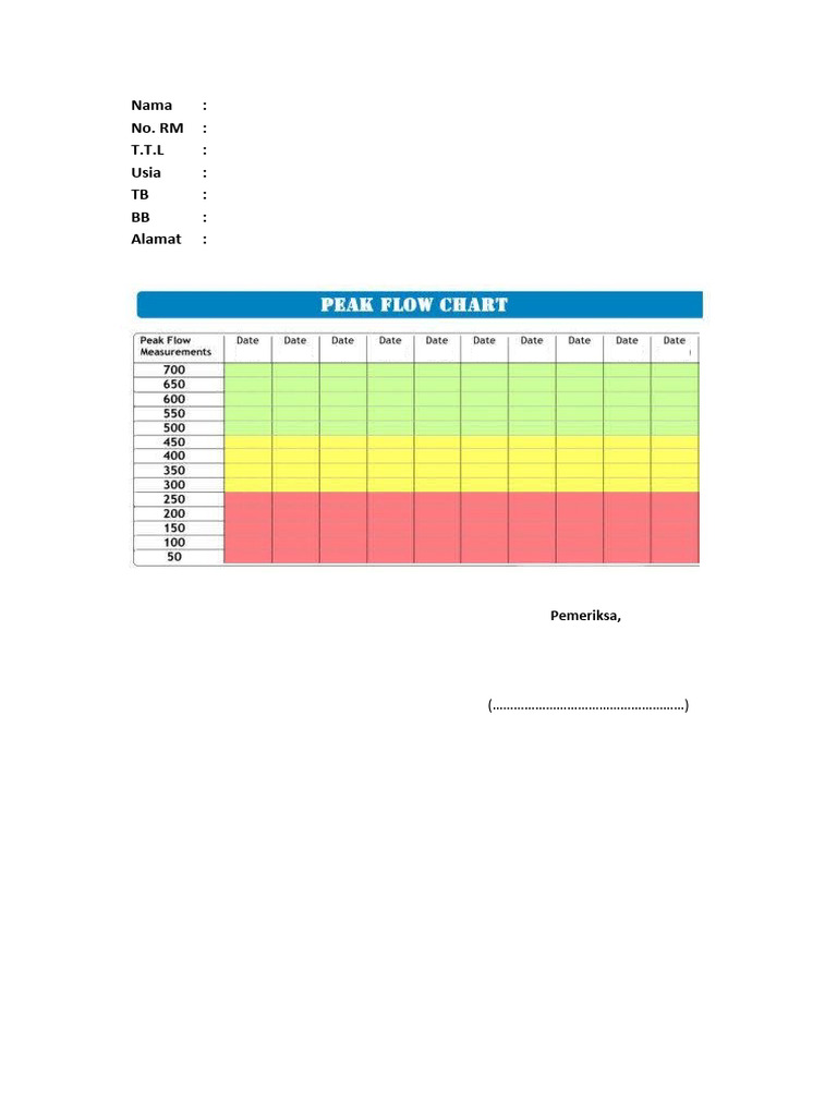 Peak Flow Chart | PDF