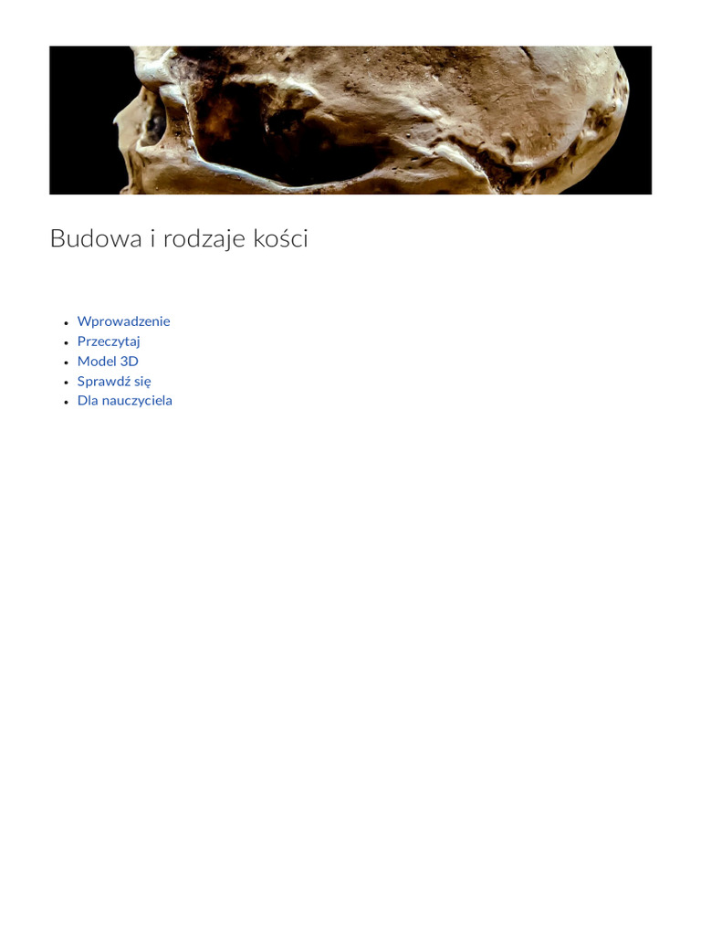 Budowa I Rodzaje Kosci | PDF