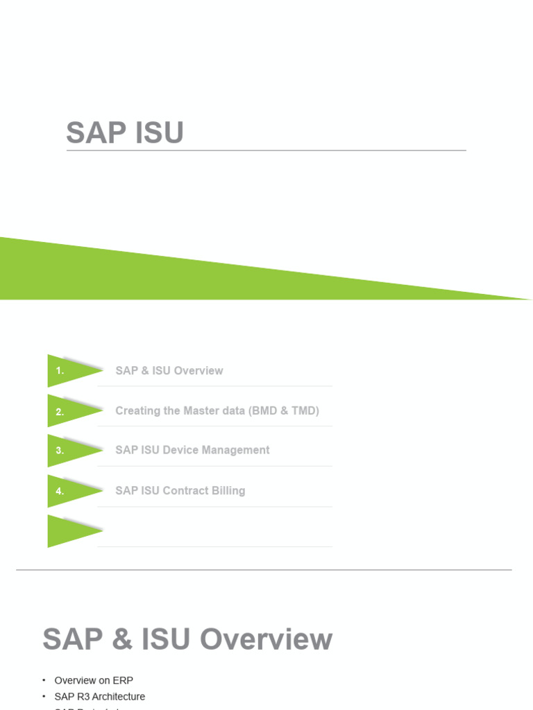 Sap Isu | PDF