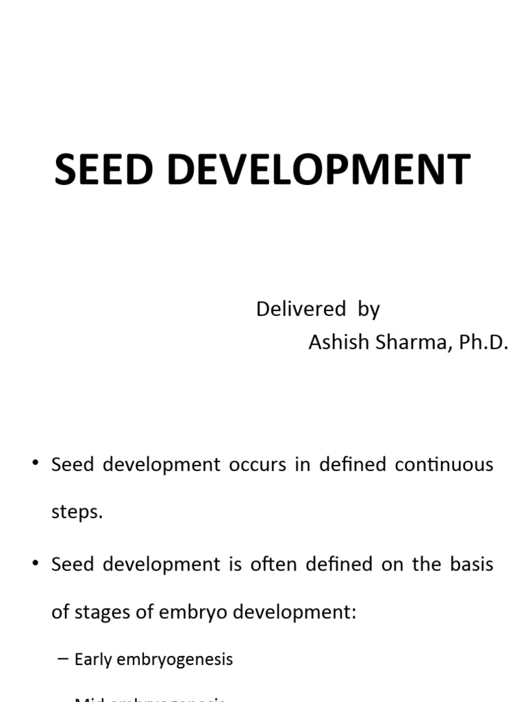 8-Seed Development and Maturation | PDF
