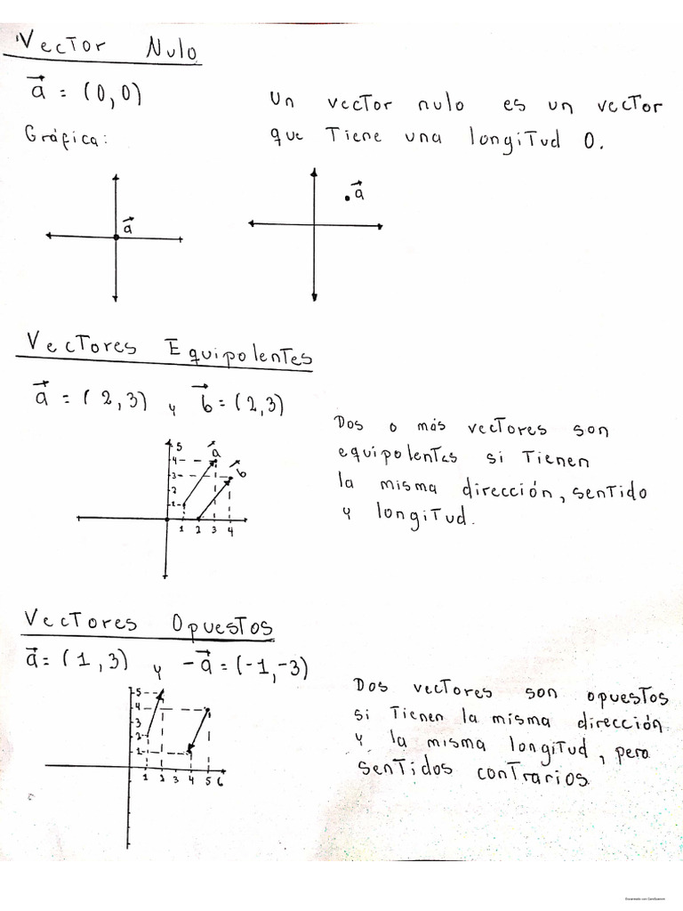 Tipos de vectores | PDF