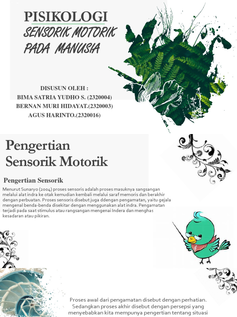 Pisikologi Sensorik Motorik Pada Manusia 3 | PDF