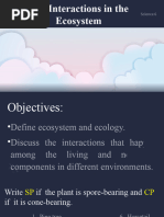 Layers of The Rainforest: Emergent | PDF